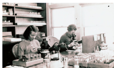 Women in Science: Achievements and Barriers