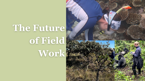 The Future of Field Work: The Promise and Perils of Research in the ...
